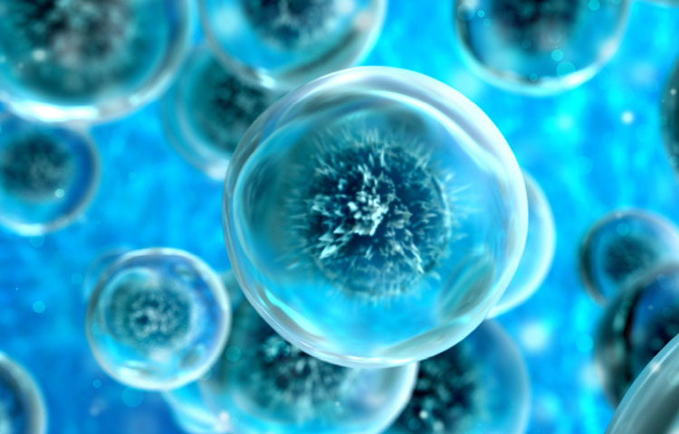 Life Sciences | United States | Cushman & Wakefield