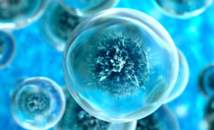 Life Sciences | US | Cushman & Wakefield