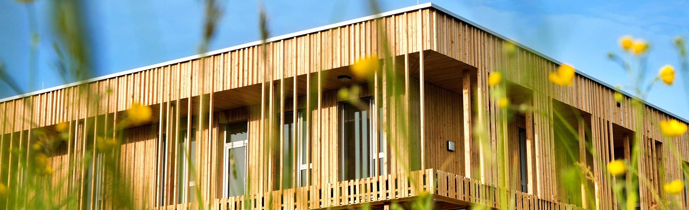 ESG & Sustainability | Germany | Cushman & Wakefield