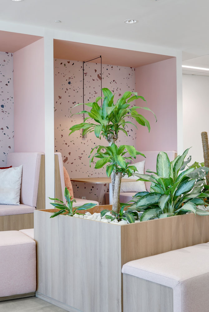 Bristol Myers Squibb: offices adapted to new ways of working | Spain ...