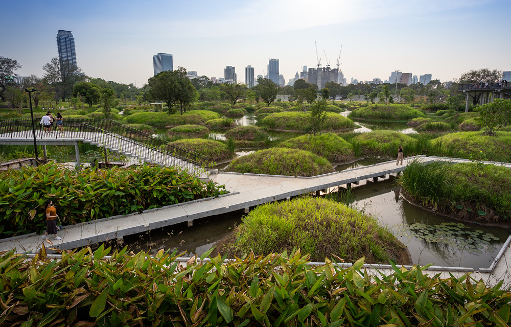 Built Environment: Going Beyond Net Zero to do More Good | Cushman ...